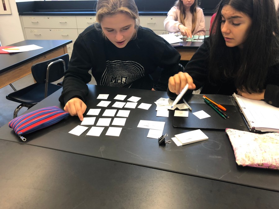Force Diagrams — A Card Sort – Physics! Blog!